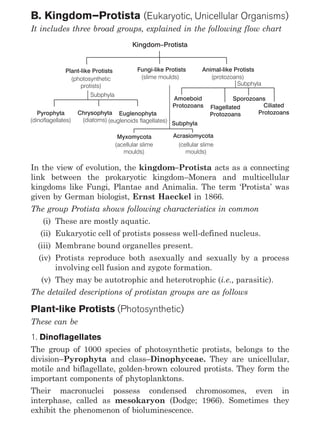 handbookBiological Classification.pdf class 11 biology | PDF