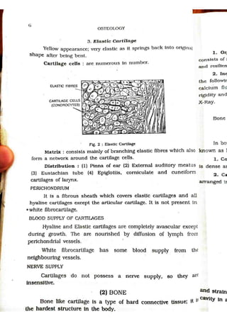 Hand Book of Osteology Poddar: well-structured guide to the human ...