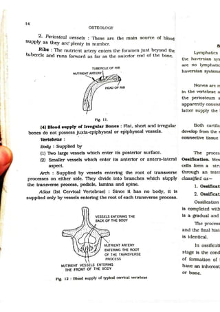Hand Book of Osteology Poddar: well-structured guide to the human ...