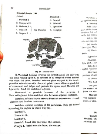 Hand Book of Osteology Poddar: well-structured guide to the human ...