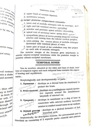 Hand Book of Osteology Poddar: well-structured guide to the human ...