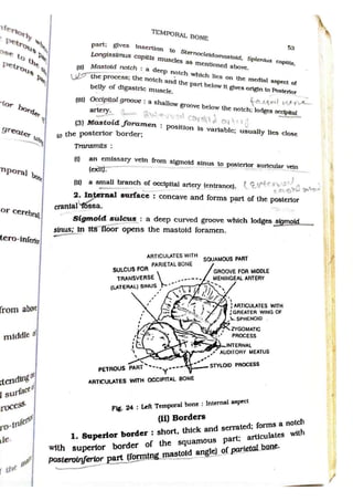 Hand Book of Osteology Poddar: well-structured guide to the human ...