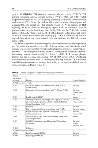 Handbook of sepsis | PDF