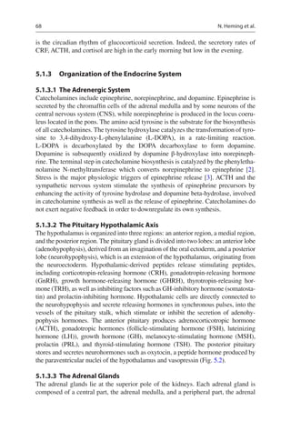 Handbook of sepsis | PDF