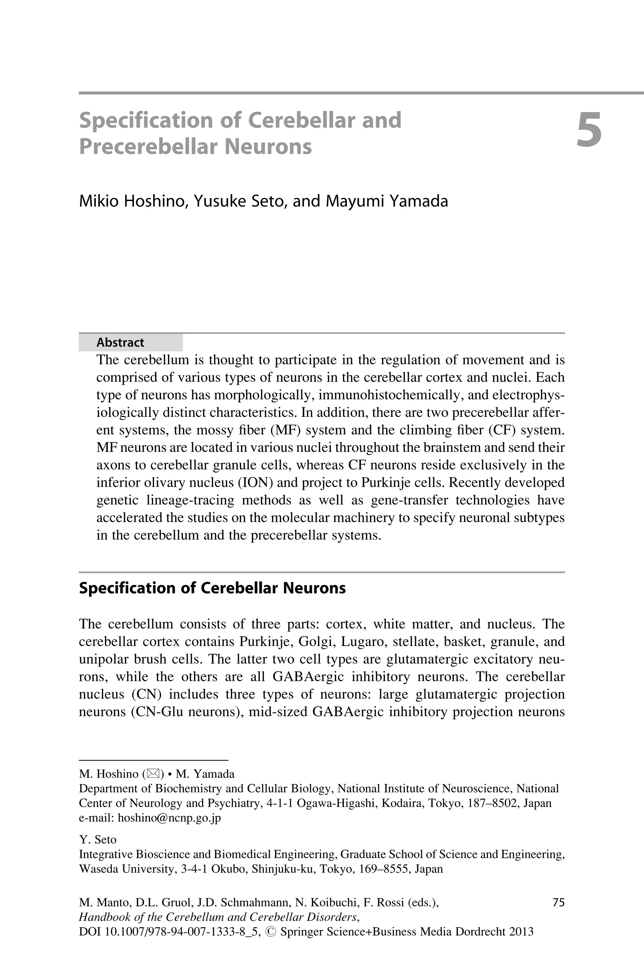 Handbook of the cerebellum and cerebellar disorders | PDF