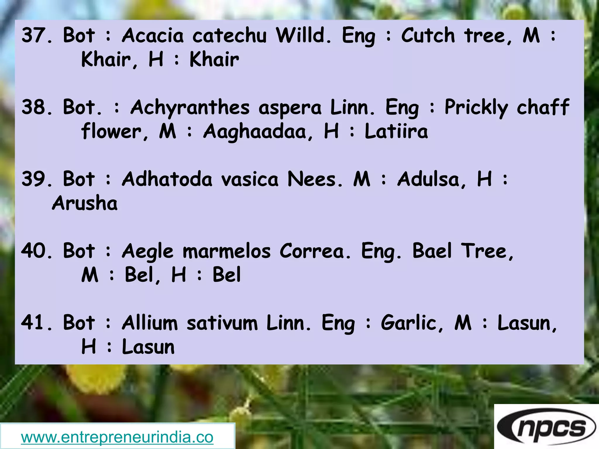 Drugs from Natural Sources | PPTX