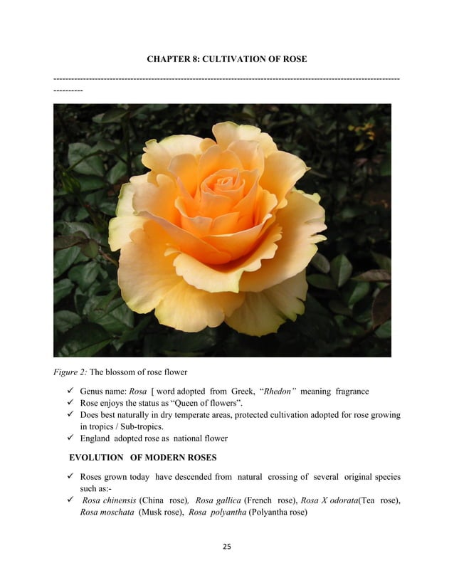 Handbook on floriculture and landscaping | PDF | Agriculture | Industries