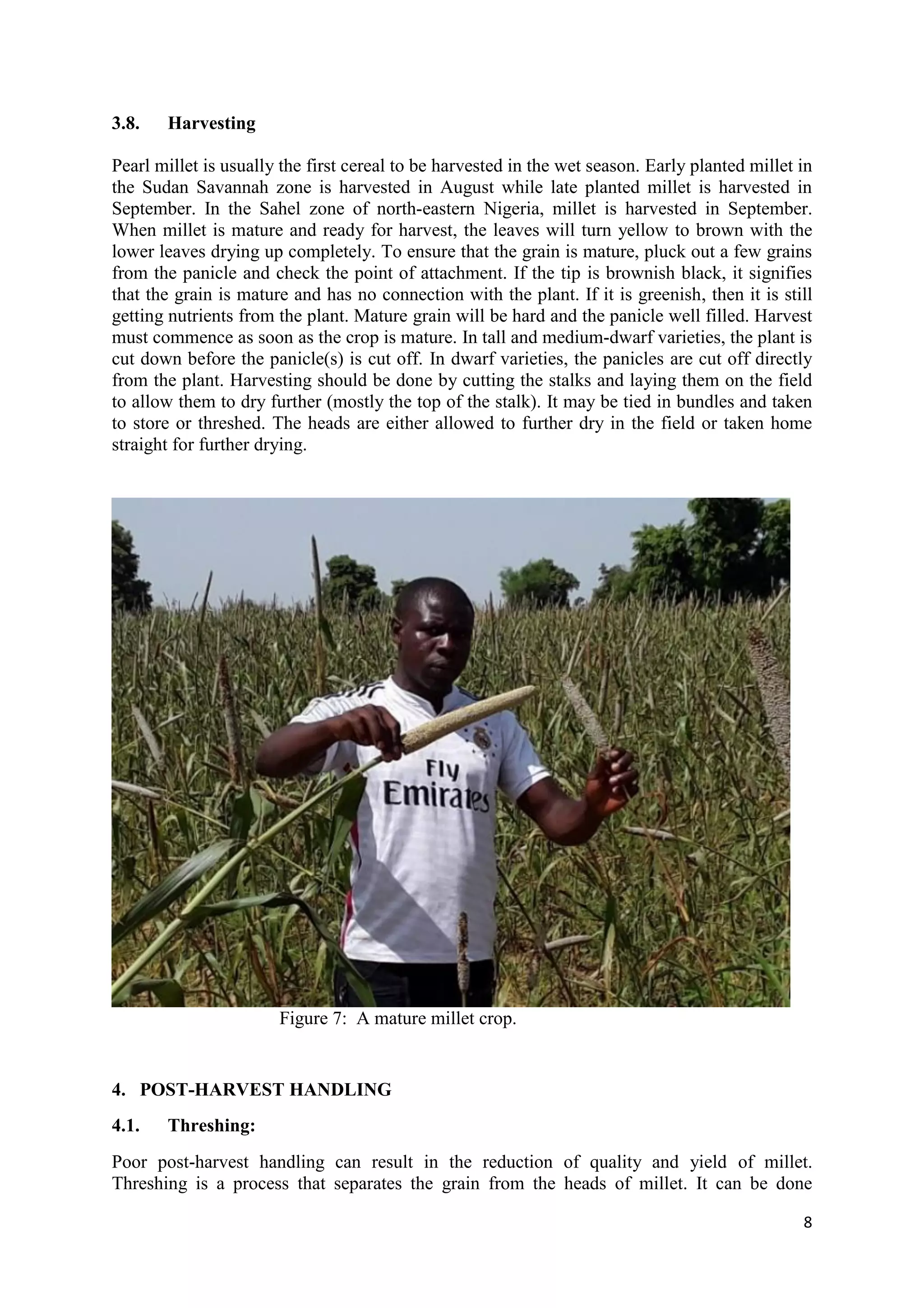 Handbook on improved pearl millet production practices in North Eastern Nigeria- Feed the Future ...