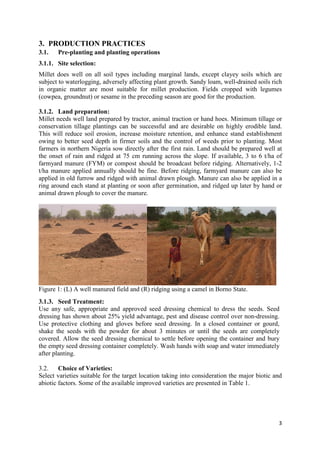 Handbook on improved pearl millet production practices in North Eastern Nigeria- Feed the Future ...