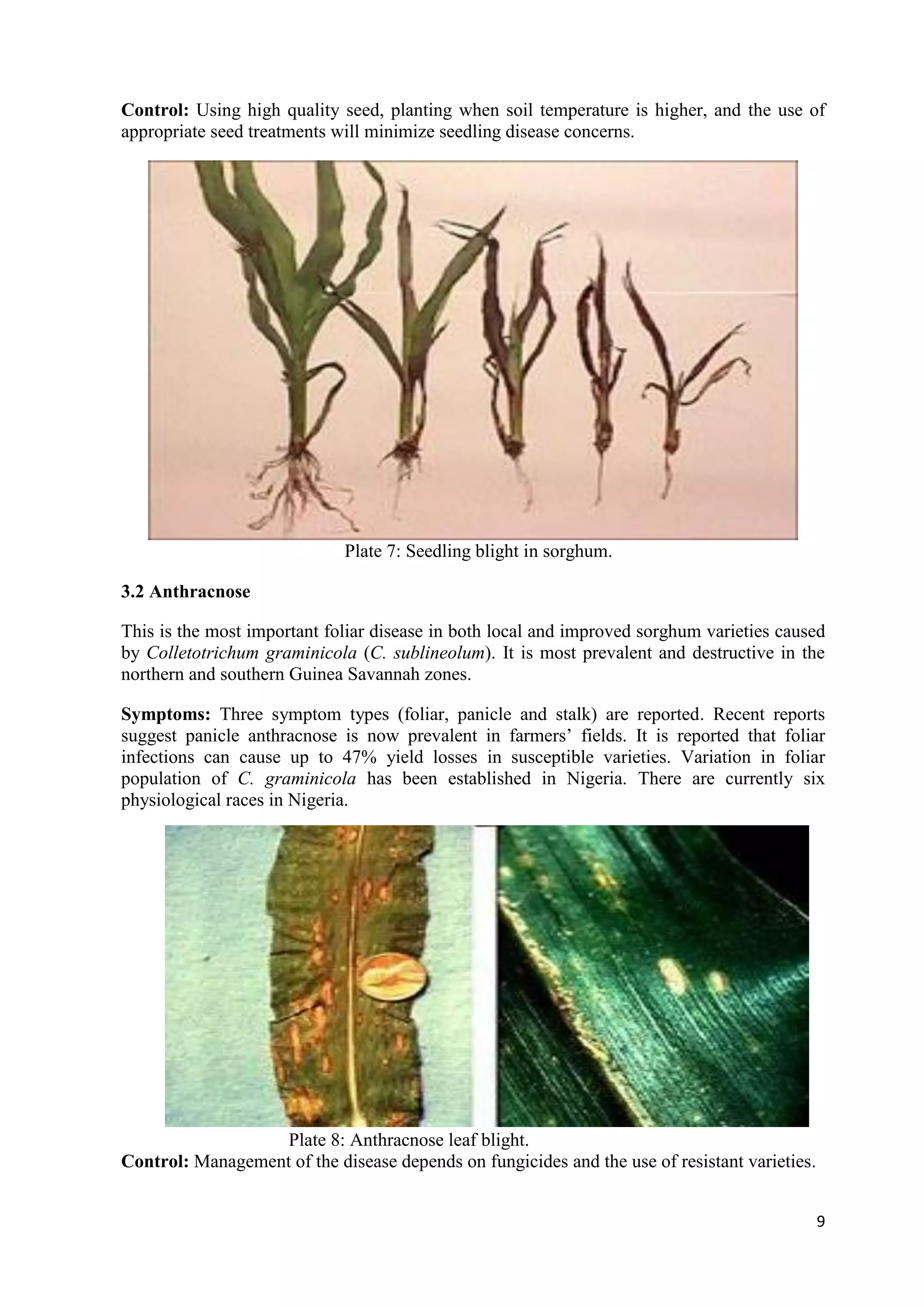 Handbook on improved agronomic practices for sorghum production in North East Nigeria - Feed the ...