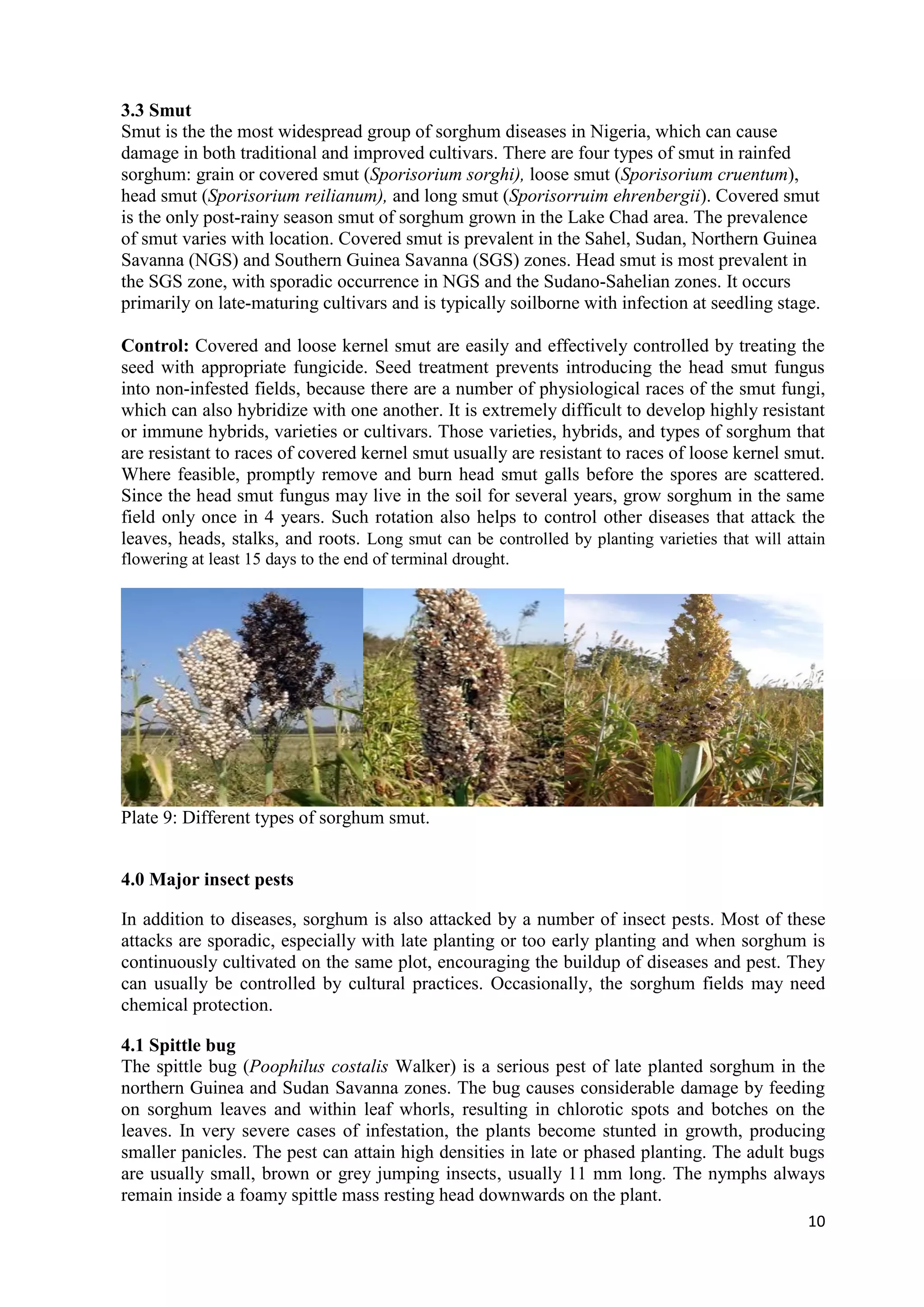 Handbook on improved agronomic practices for sorghum production in North East Nigeria - Feed the ...