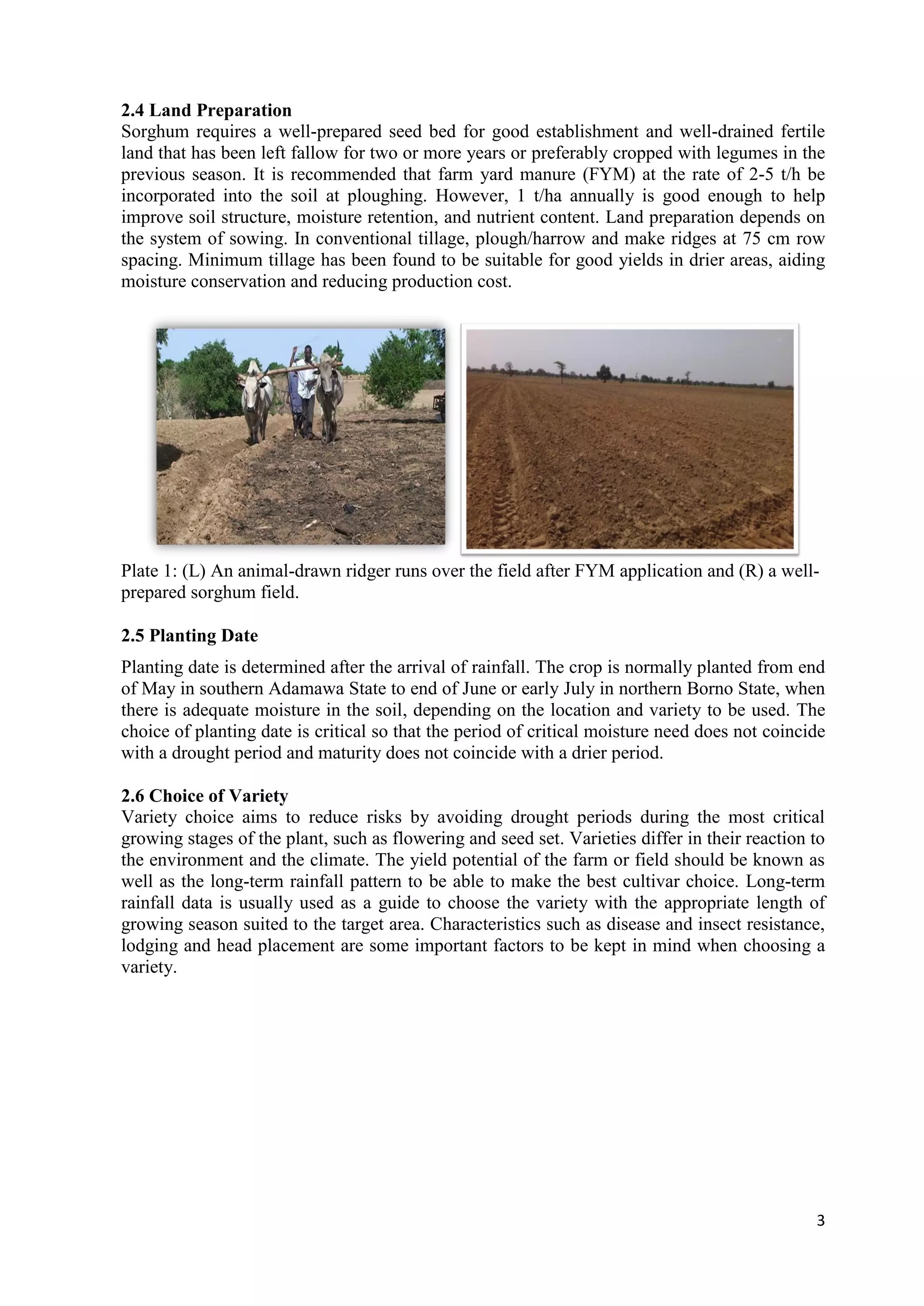 Handbook on improved agronomic practices for sorghum production in North East Nigeria - Feed the ...