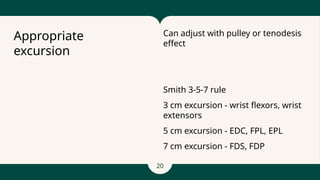 hand census microsurgery 27 Nov 24.pptx