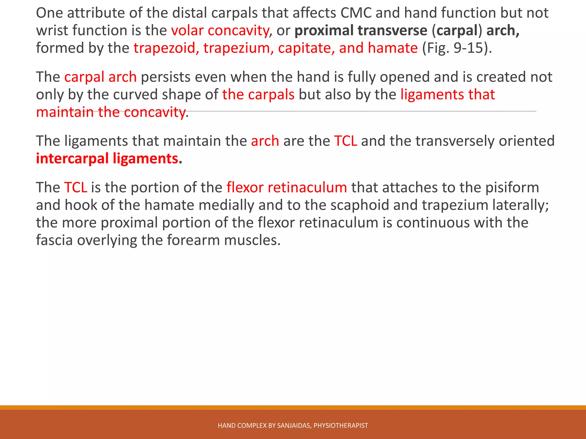 Hand complex - Introduction and CMC joint.pptx
