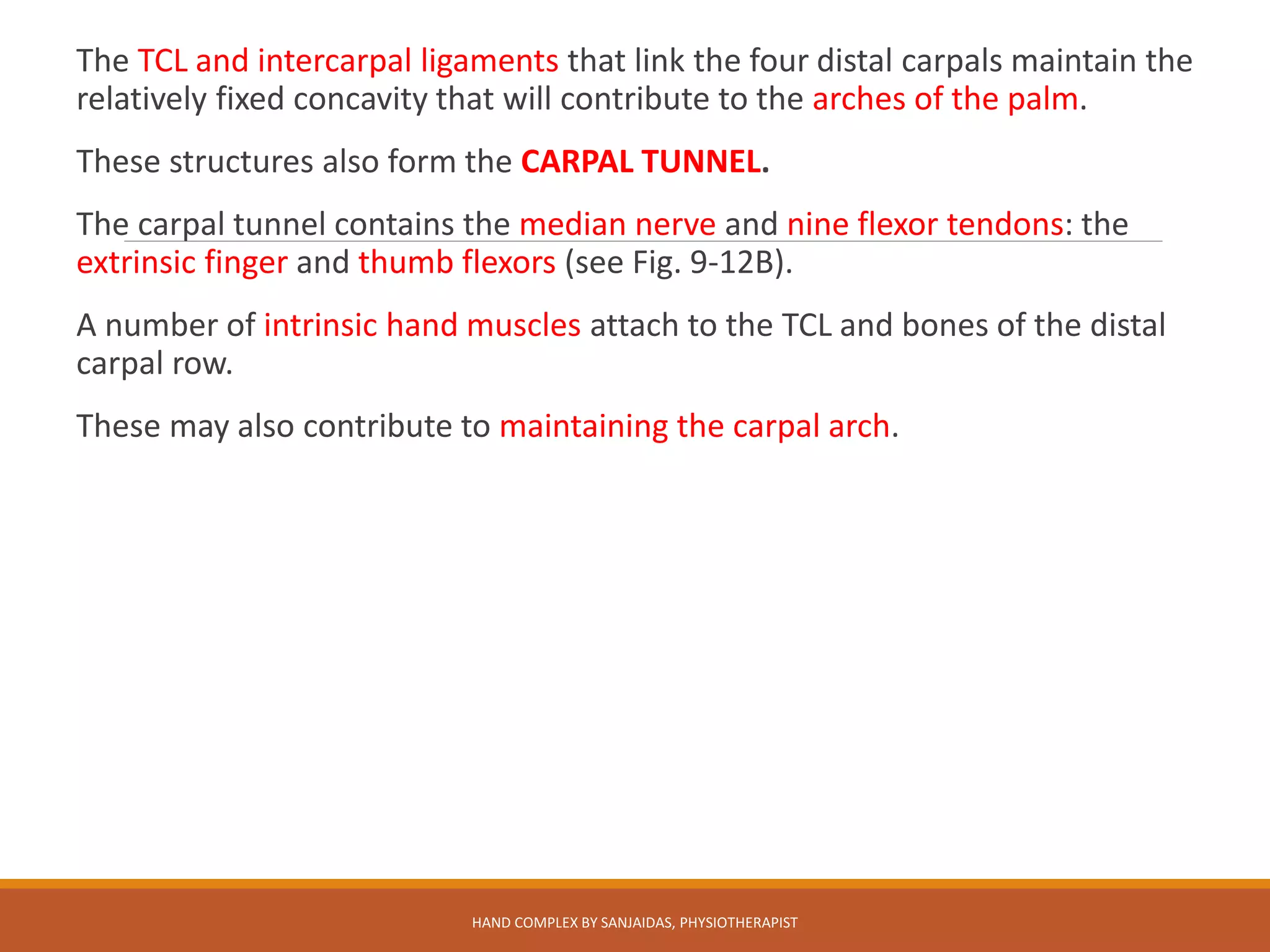 Hand complex - Introduction and CMC joint.pptx