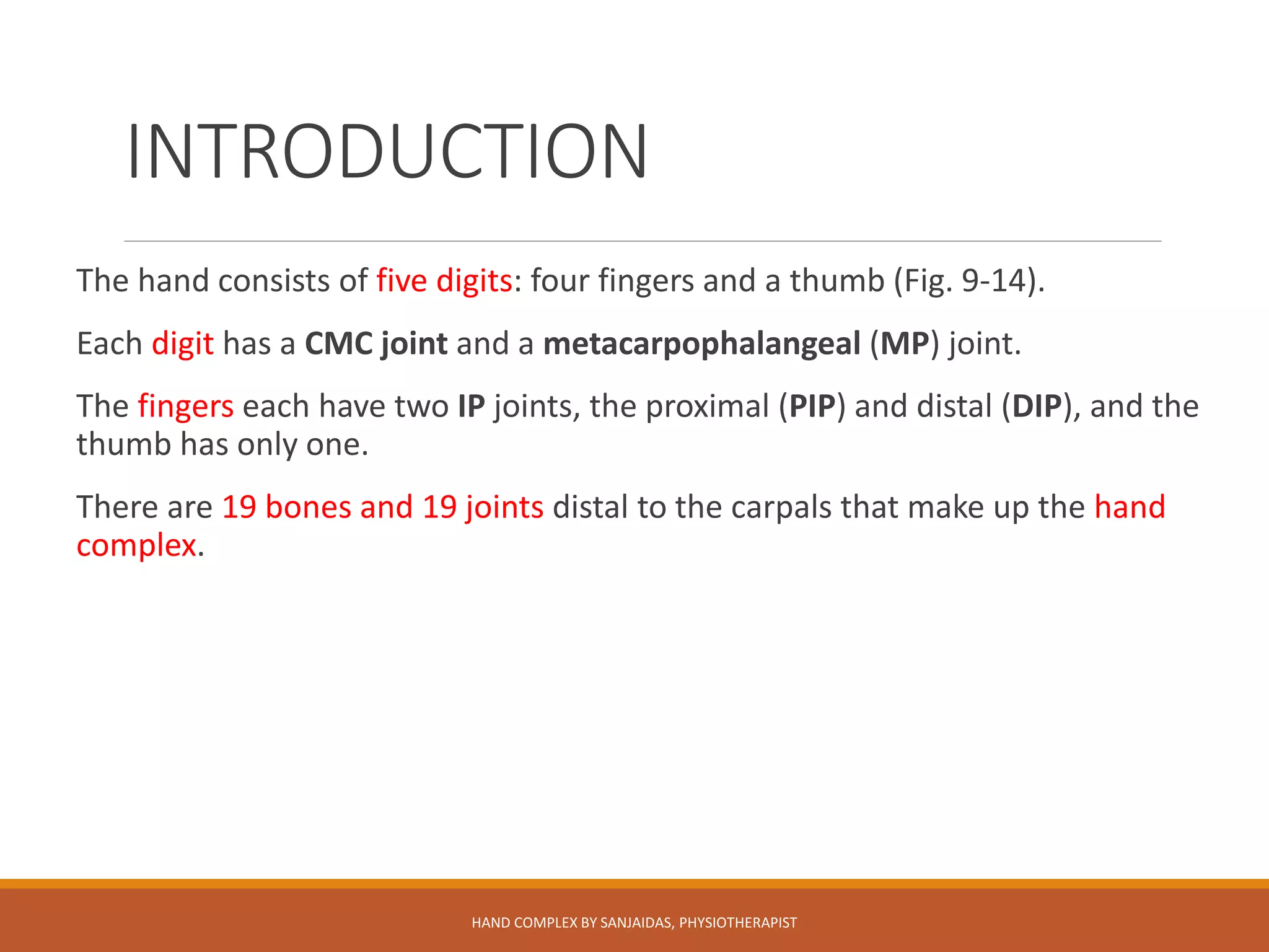 Hand complex - Introduction and CMC joint.pptx