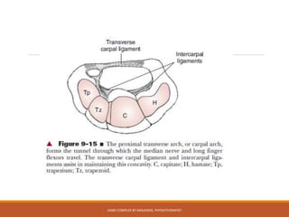 Hand complex - Introduction and CMC joint.pptx
