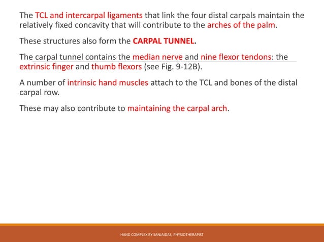 Hand complex - Introduction and CMC joint.pptx | Death, Injury, or Military Conflict | Sensitive ...