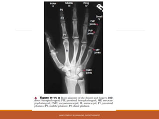 Hand complex - Introduction and CMC joint.pptx