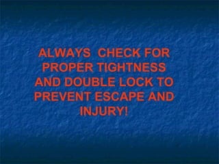 Handcuffing 07 09 | PPT