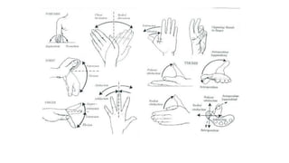 Hand dressings | PPTX
