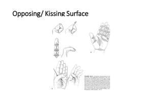 Hand dressings | PPTX