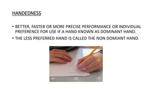 Handedness | PPTX