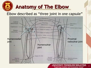 Hand & elbow injuries | PPT
