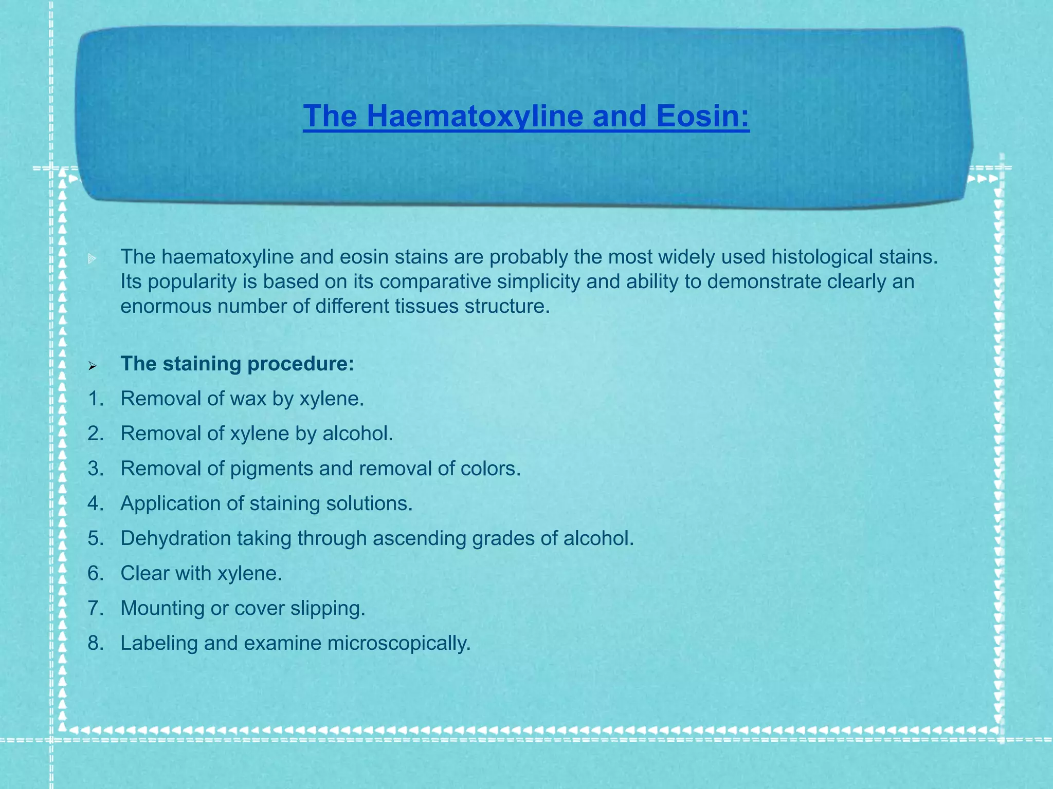 H and E staingin.ppt