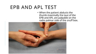 Seminar on the examination of Hands.pptx