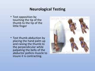 Thumb Opposition Test
