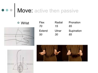 Hand examination in primary care | PPT