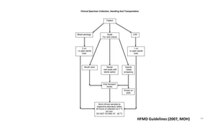 Hand Foot and Mouth Disease Management: A Maran experience | PPTX