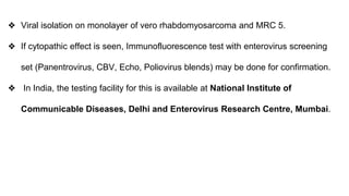 Hand foot and mouth disease (hfmd)in brief.pptx