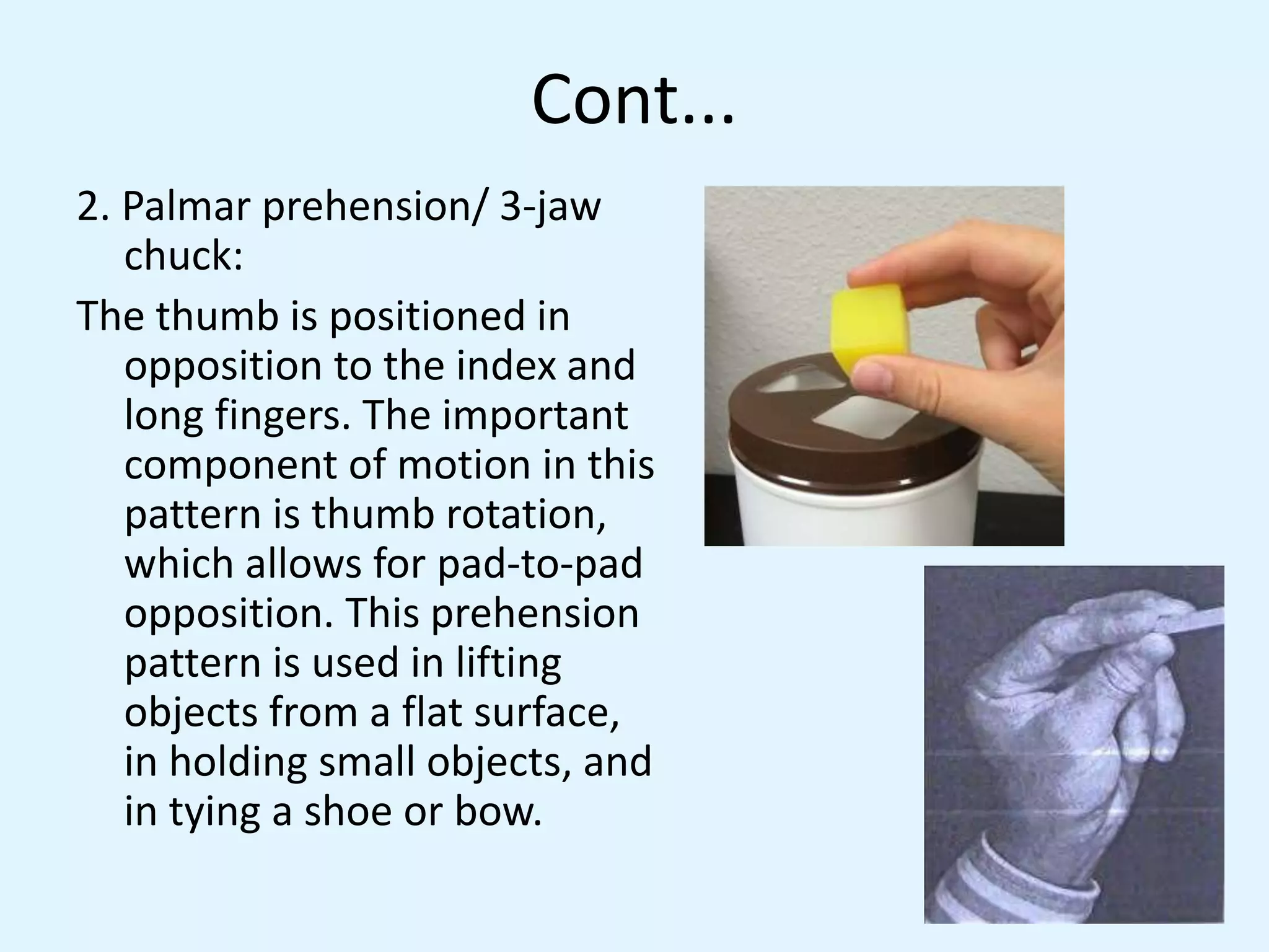 Hand function | PPTX