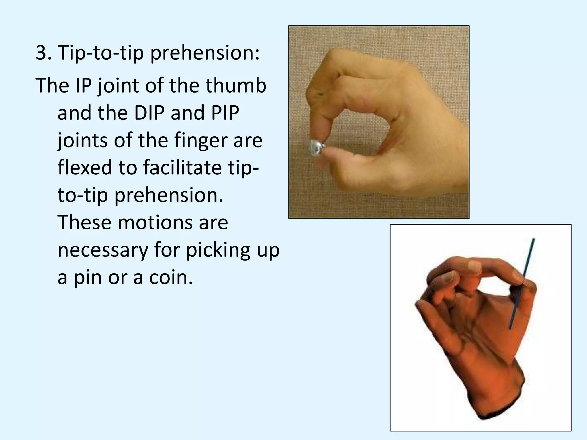 Hand function | PPTX