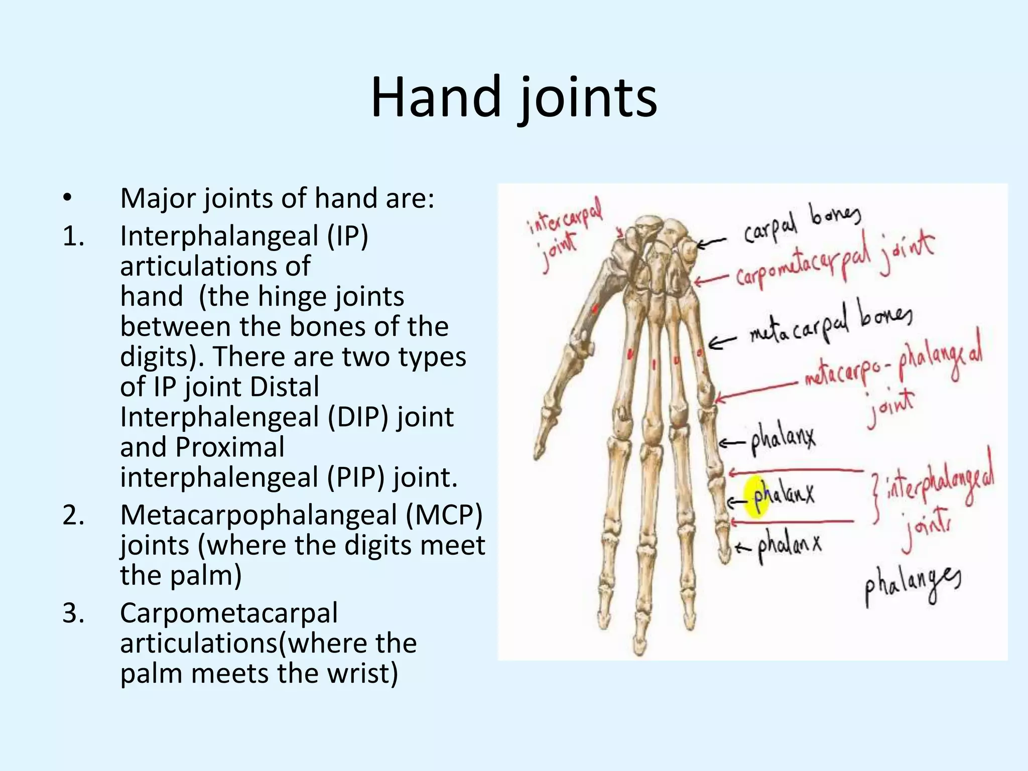 Hand function | PPTX