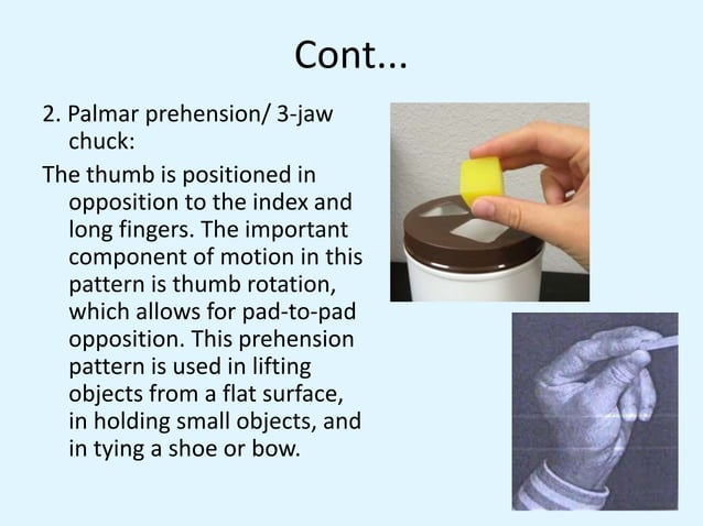 Hand function | PPTX