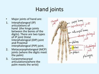 Hand function | PPTX