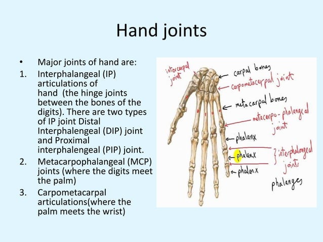 Hand function | PPTX