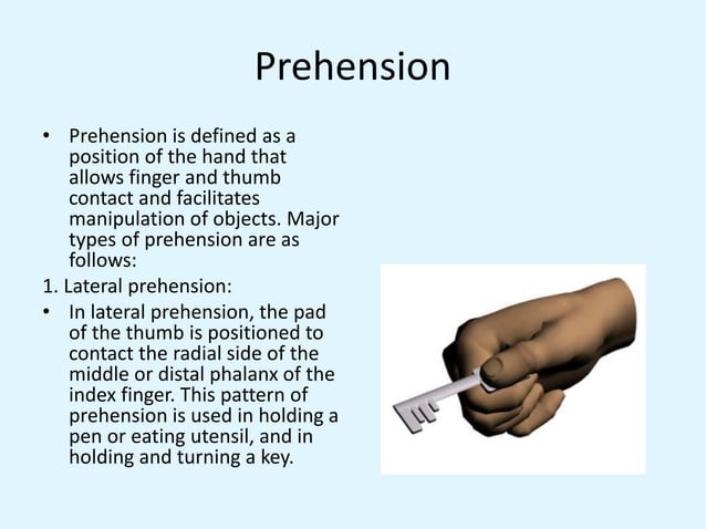 Hand function | PPTX