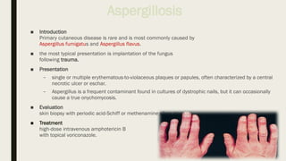 Hand fungal infection . | PPTX