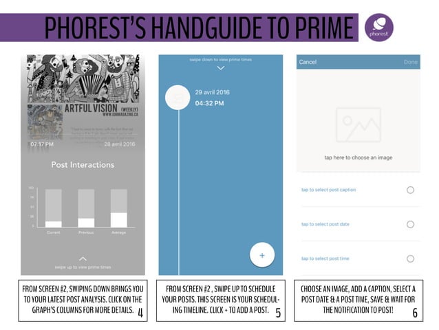Phorest's Handguide To Prime | PDF | Computer Software and Applications ...