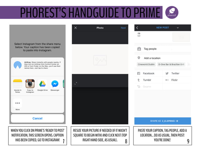 Phorest's Handguide To Prime | PDF