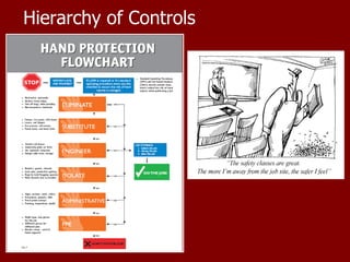 Hand hazard controls | PPTX
