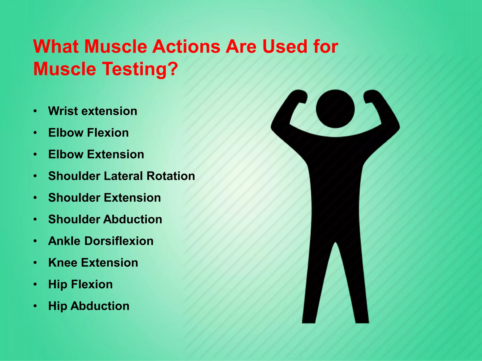 Handheld Dynamometers And Manual Muscle Testing | PDF