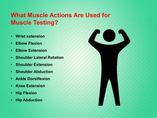 Handheld Dynamometers And Manual Muscle Testing | PDF