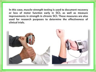 HANDHELD DYNAMOMETERS IN CLINICAL PRACTICE | PDF