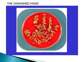 Hand Hygiene.pptx