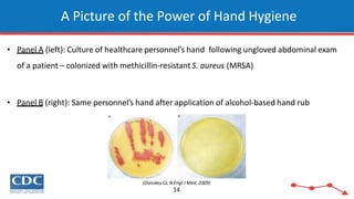 Hand Hygiene.pdf